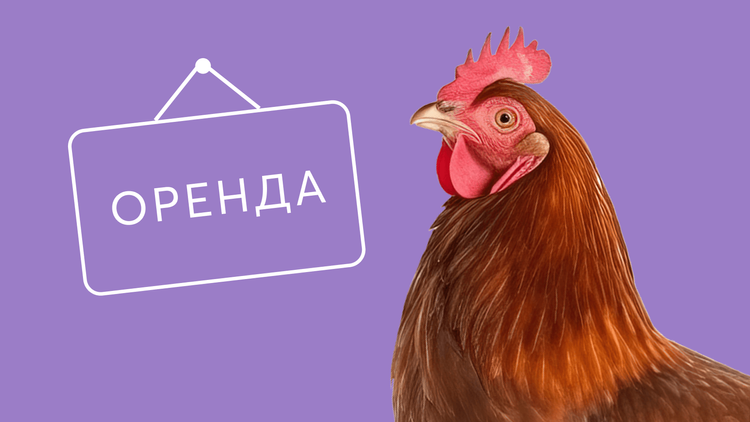 7 ідей для бізнесу, що здатні здивувати та надихнути на ідеї | Kyivstar ...